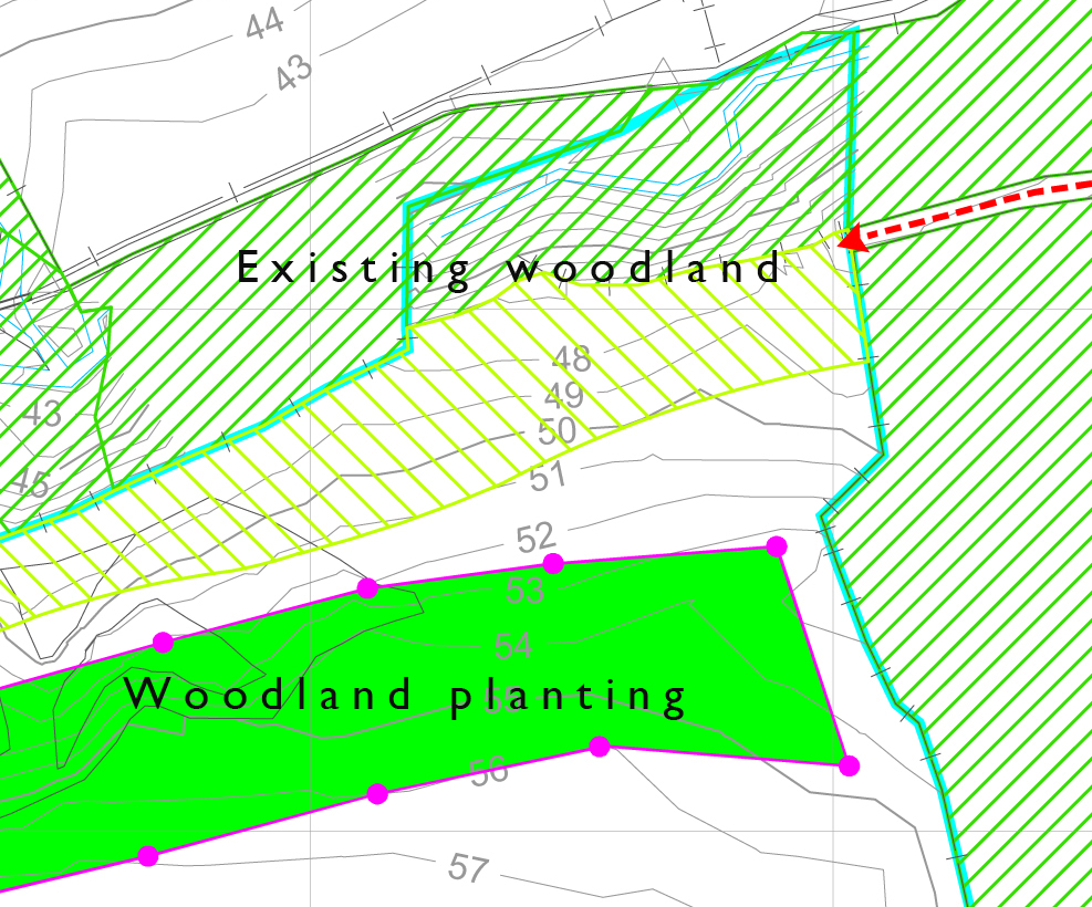 Woodland_Planting_Plan | Hankinson Duckett Associates - HDA