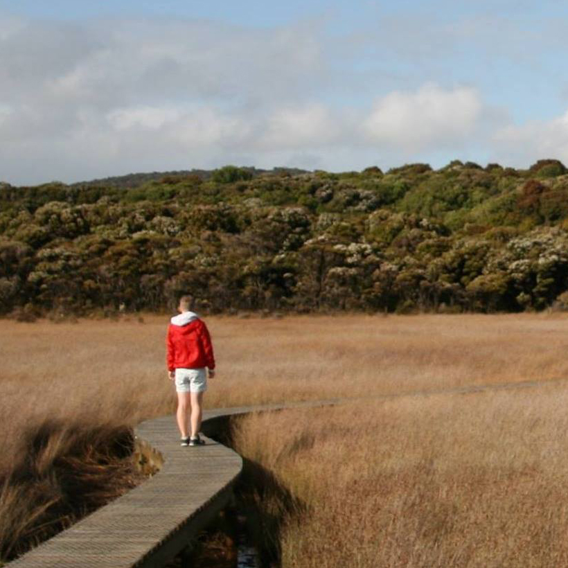 simon_ws02 | Hankinson Duckett Associates - HDA